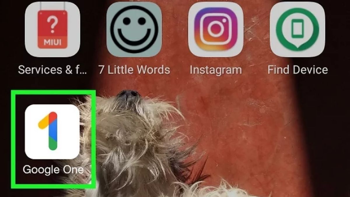 Cách hủy gói Google One trên điện thoại iPhone, Android